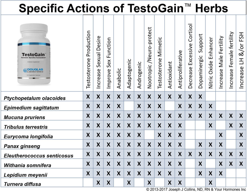 Review of TestoGain